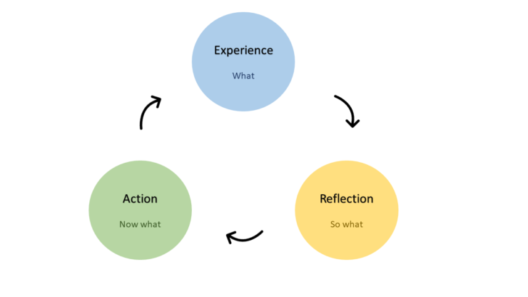 Skills Earth Sciences | Models and stages of reflection